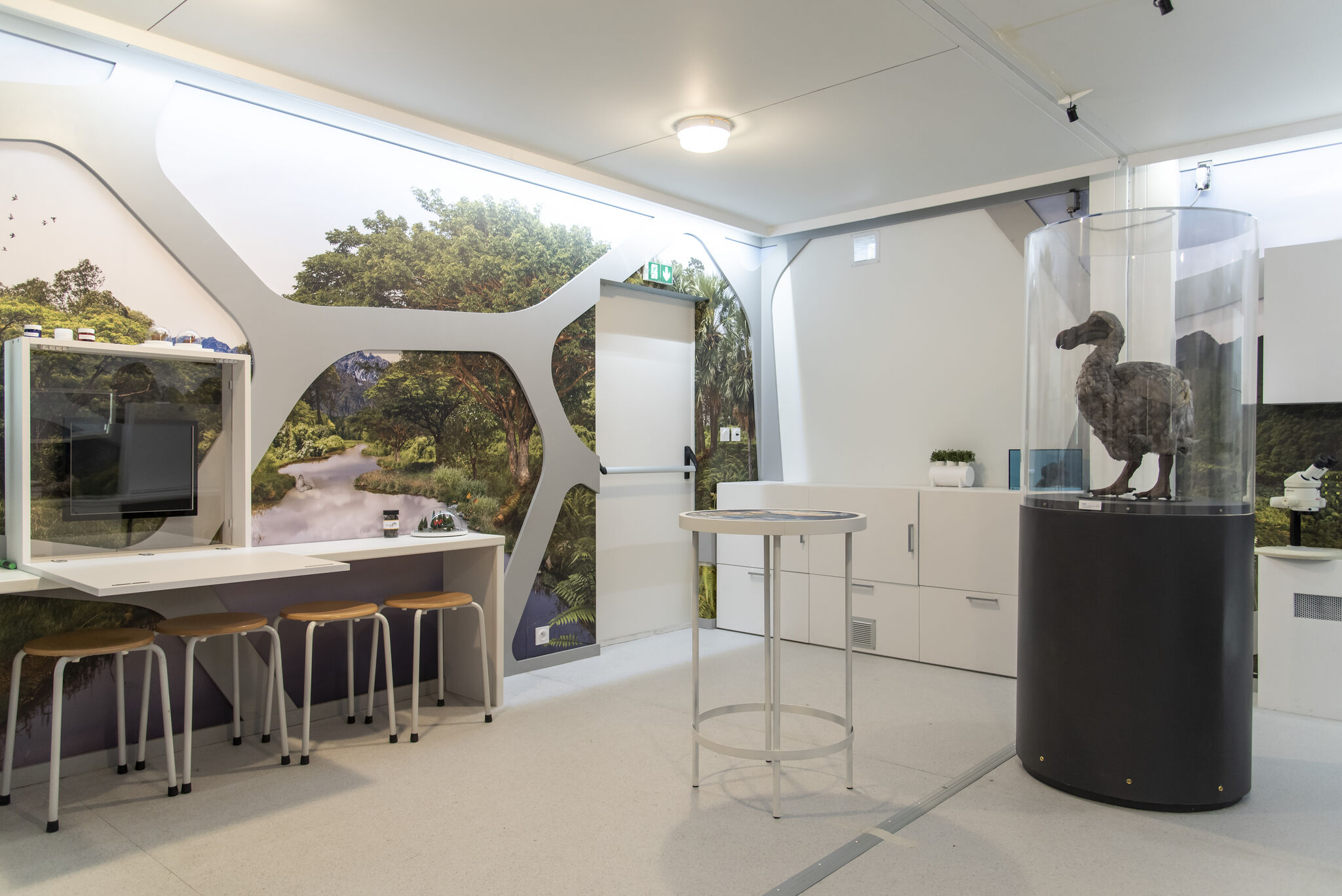 Musée des Confluences - Containers pour exposition - CAPSA Container